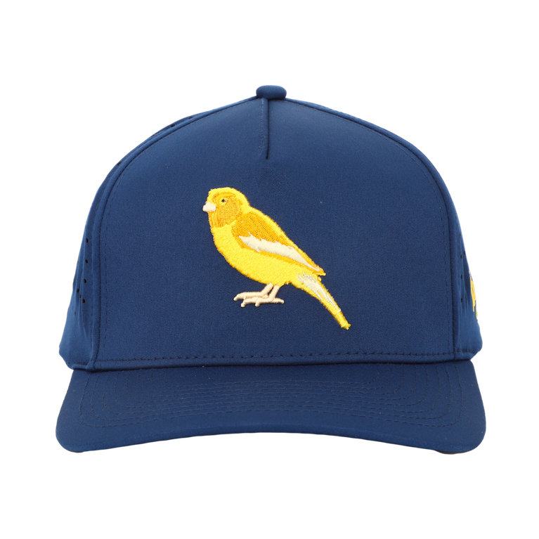 Waggle Birdie Snapback Hat | PGA TOUR Superstore