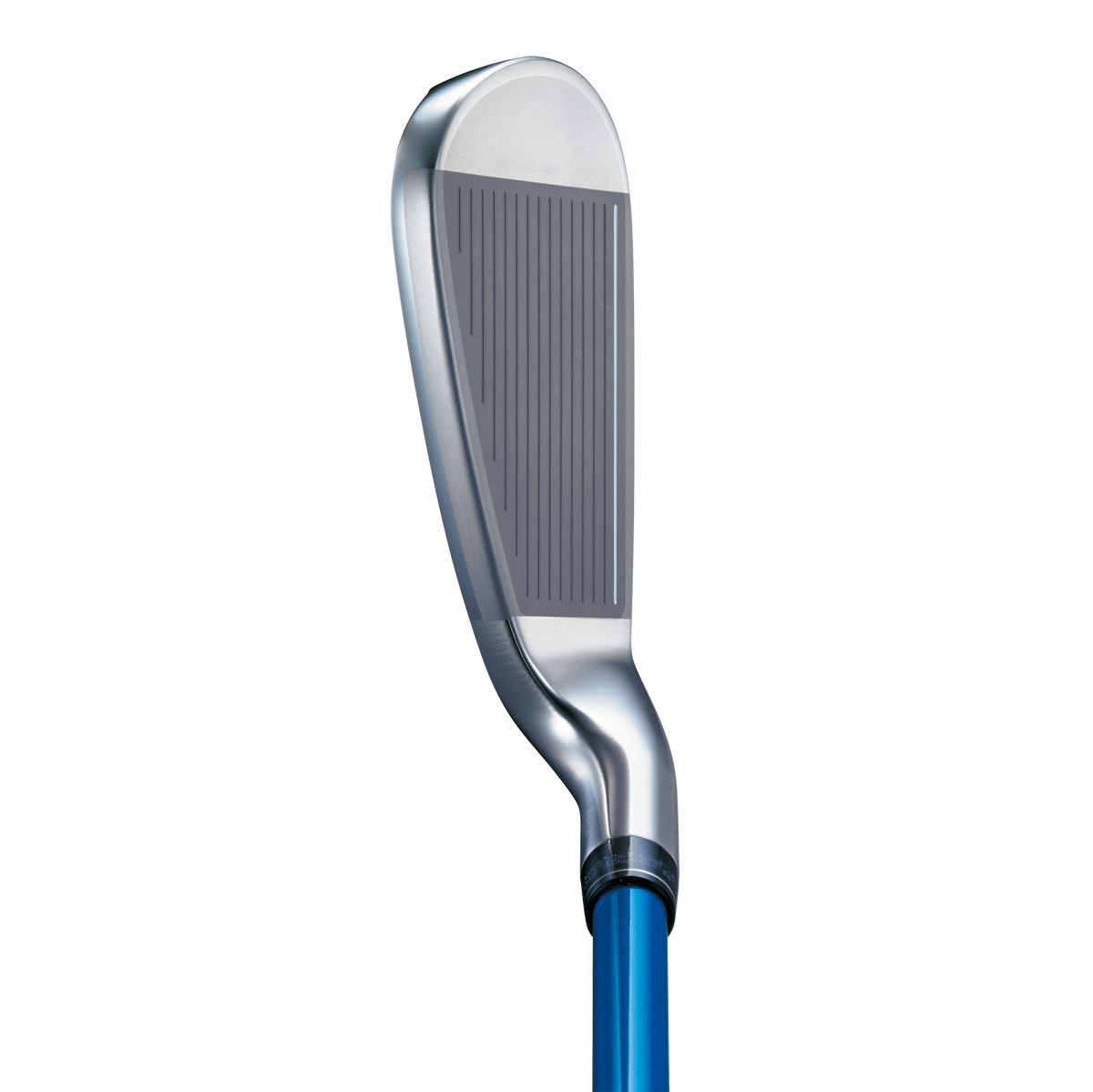 XXIO Eleven Iron Set w/ Graphite Shafts | PGA TOUR Superstore