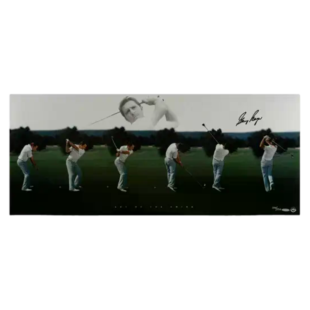 Upper Deck Gary Player "Art of the Swing" 36" x 15" | PGA TOUR Superstore