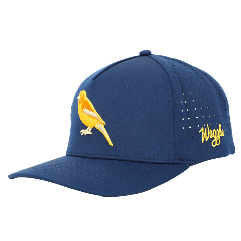 Waggle Birdie Snapback Hat | PGA TOUR Superstore